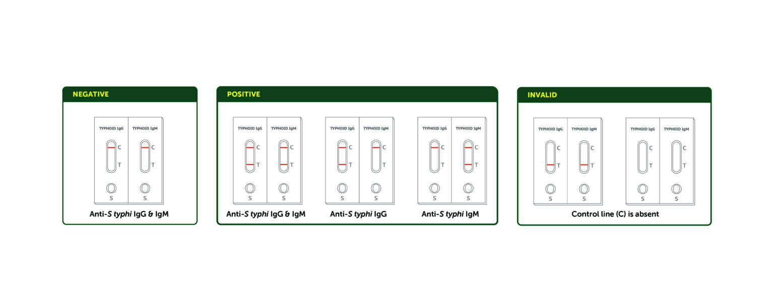 Typhoid IgG/IgM Combo Rapid Test Supplier | Reszon Diagnostics